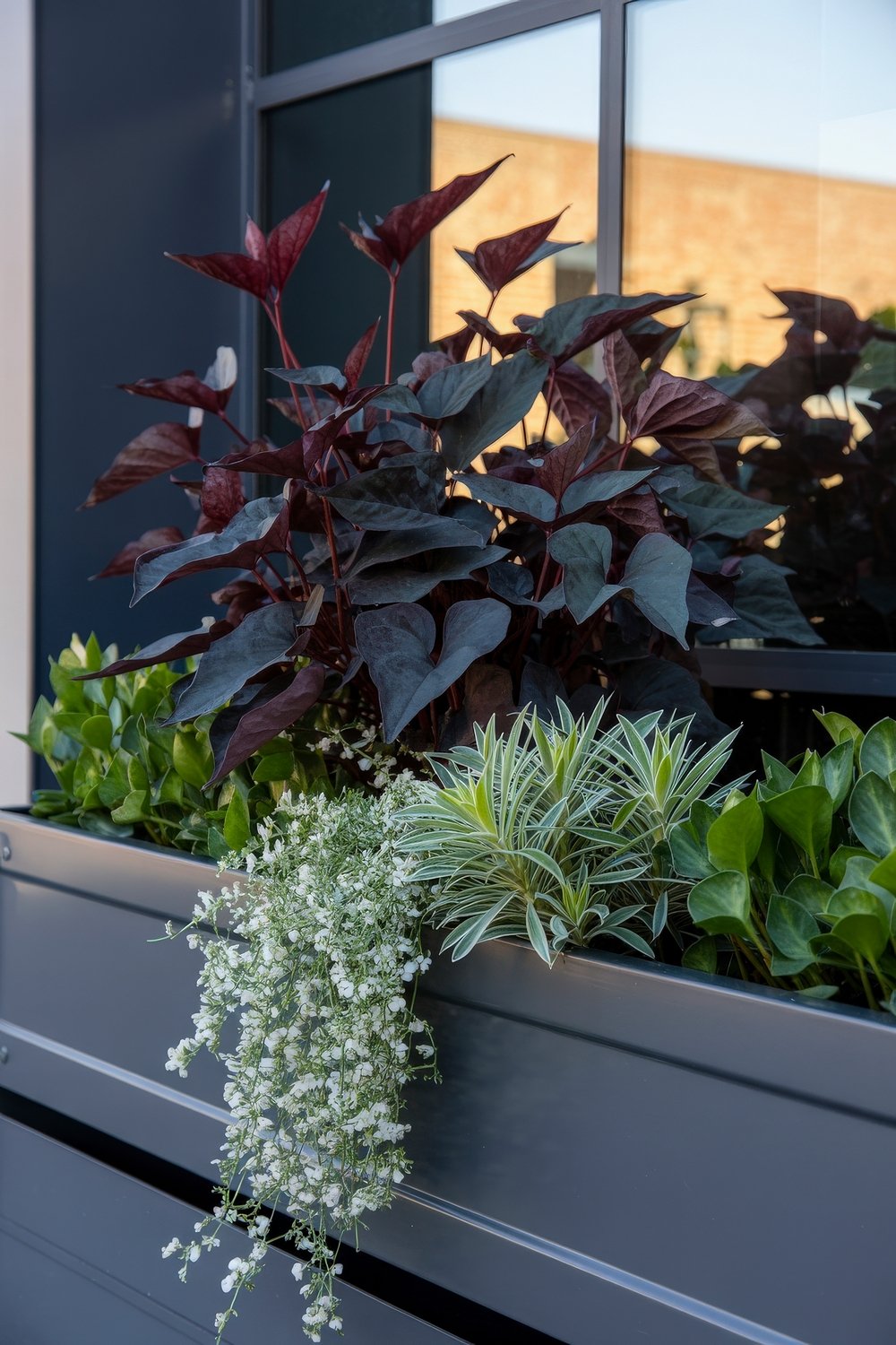 Window Box Flowers: 12 Genius Ways To Wow Any Apartment