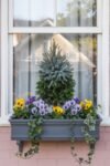Window Box Flowers: 12 Genius Ways To Wow Any Apartment